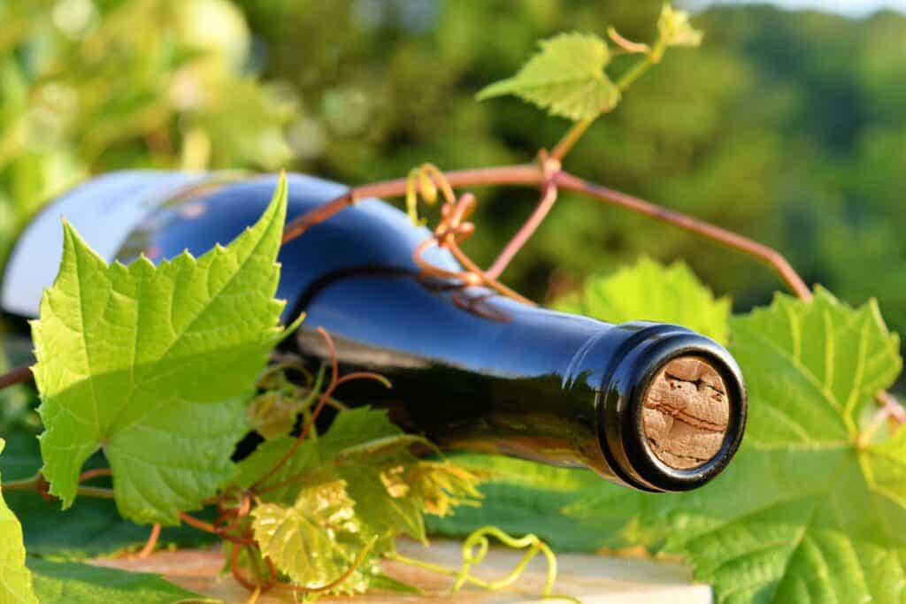 Storing Wine at SPS Napa - Security Public Storage