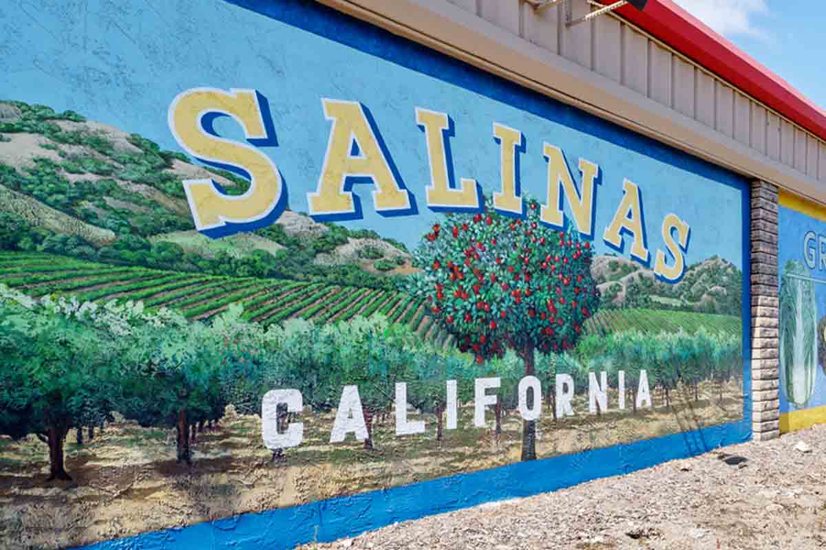 Salinas - East Wall Community Art Mural | Security Public Storage